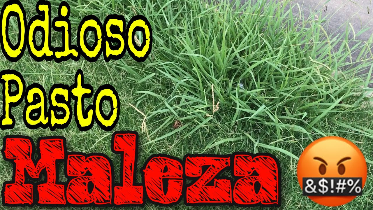 Técnicas Efectivas para Secar un Terreno Húmedo: Consejos y Soluciones ...